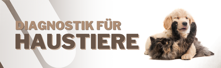 Pluslife PCR diagnostics-precise & fast test results – Altruan